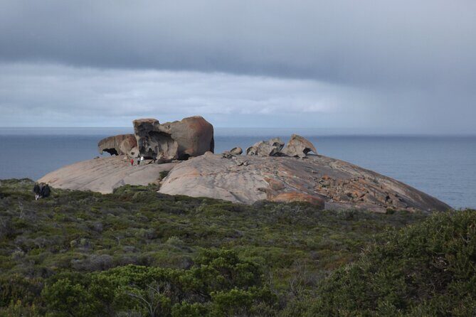 One Day Kangaroo Island Highlights Tour - Starting Point & Overall Structure