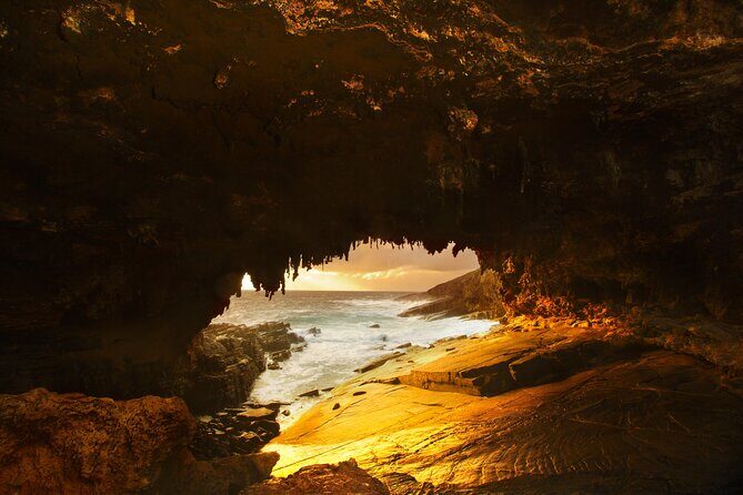 One Day Kangaroo Island Highlights Tour - Practical Details & What to Expect