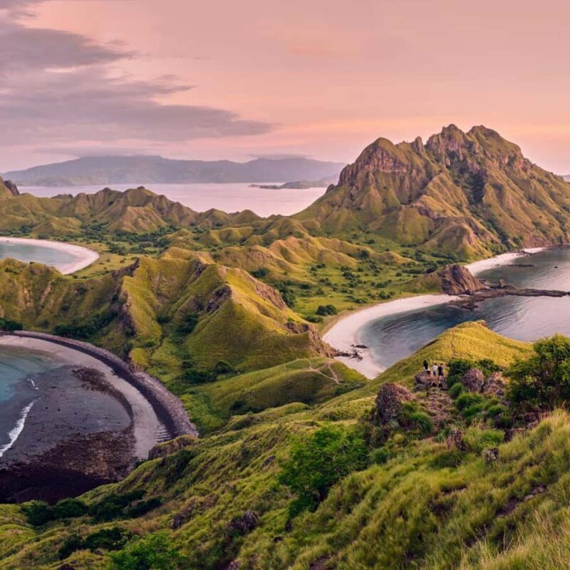 One-Day Komodo Tour By Speedboat - Key Points