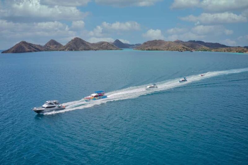 One-Day Komodo Tour By Speedboat - Authentic Experiences from Other Travelers