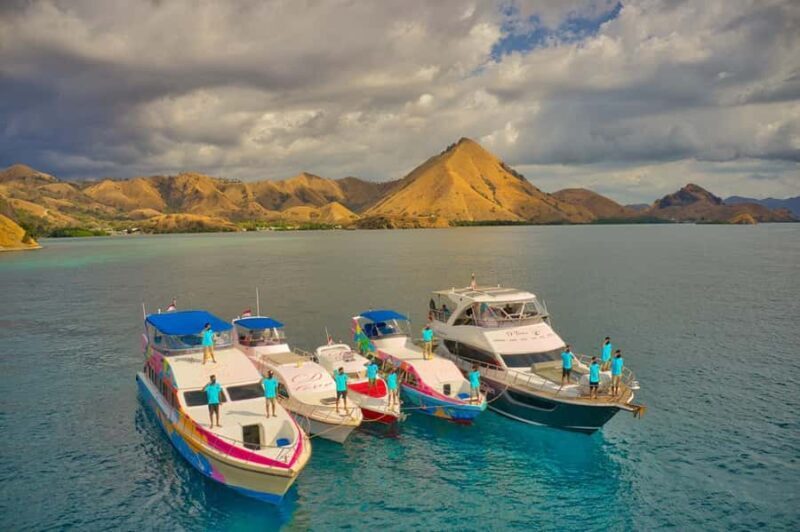 One-Day Komodo Tour By Speedboat - Who Is This Tour Best For?
