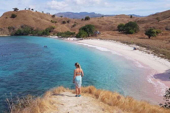 One Day Komodo Trip (Sailing) - Authentic Feedback and Real Experience