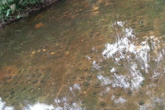 One day Kulen Mountain Trekking Tour from Siem Reap - A Closer Look at the Itinerary