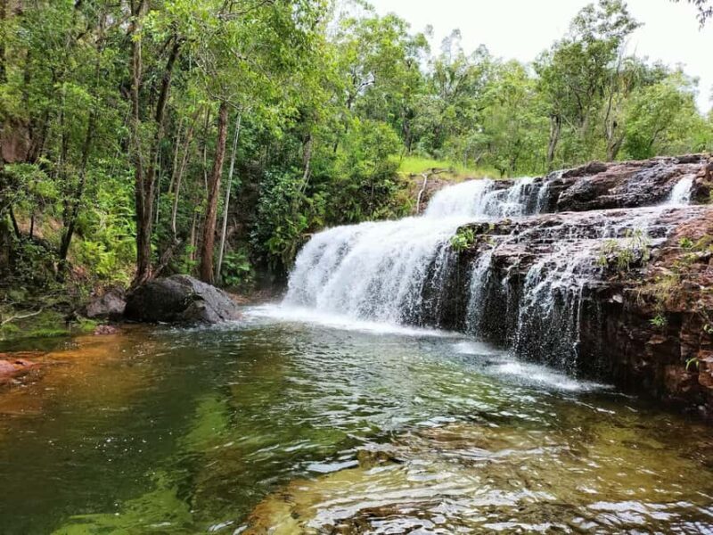 One Day Litchfield Park Adventures Tour + Berry Springs - FAQ