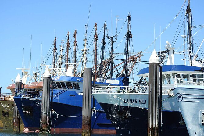 One Day Port Lincoln Tour - Tasting Eyre - What the Tour Includes and Excludes