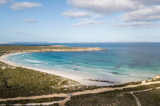 One Day Port Lincoln Tour - Tasting Eyre - The Value and Price