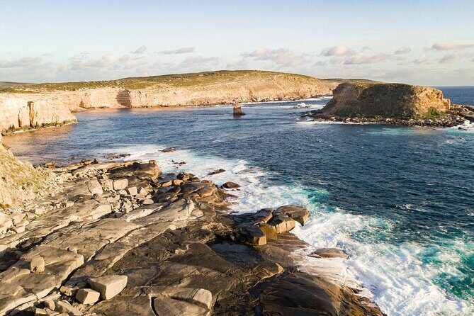One Day Port Lincoln Tour - Tasting Eyre - Frequently Asked Questions