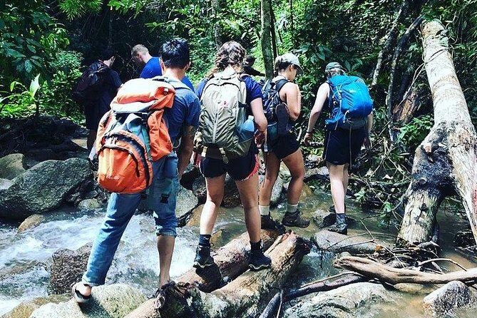 One Day Premier Trek Jungle & Waterfall - Exploring the One Day Premier Trek Jungle & Waterfall Tour in Chiang Mai