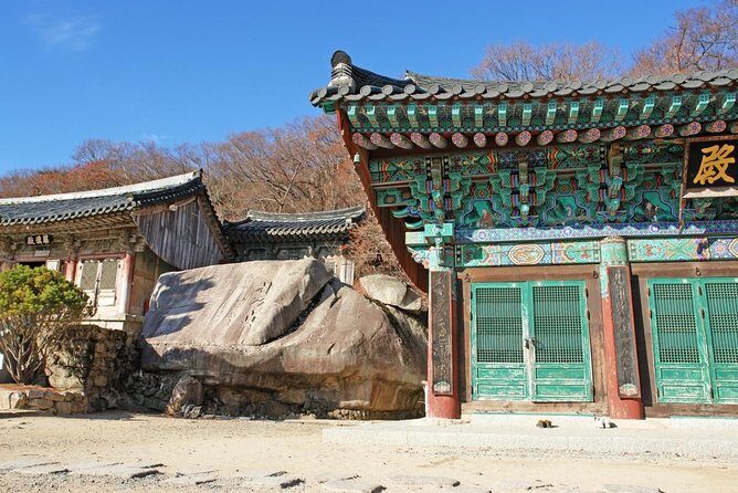 One Day Private Busan Tour with Local Tour Guide - Exploring Busan: What to Expect from This Full-Day Tour