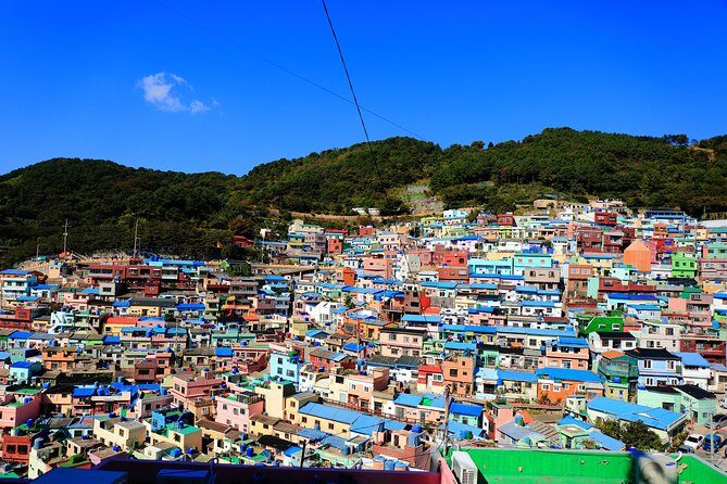 One Day Private Busan Tour with Local Tour Guide - The Practical Side: Logistics, Value, and Details