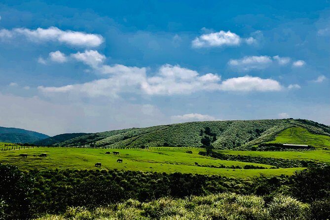 One-day private chartered car tour in Taipei: Yehliu, Jiufen, Pingxi, North Coast popular attractions with chartered car, professional Chinese/English driver - Who Would Love This Tour?