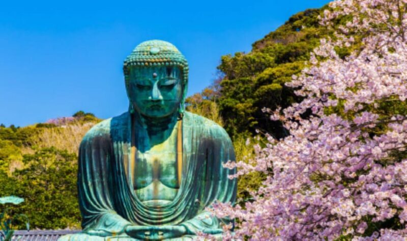 One Day Private Customized Self-Guided Tour in Kamakura - Why Choose the Kamakura Private Tour?