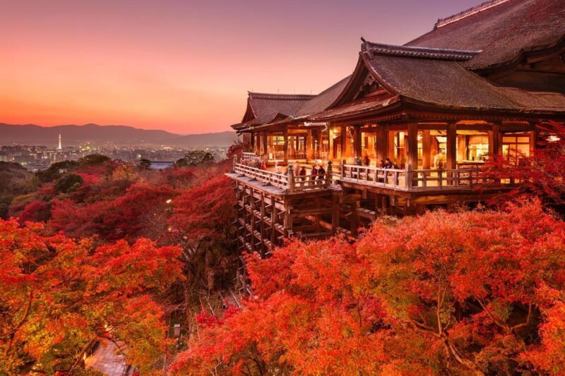One Day Private Customized Self-Guided Tour in Kyoto - Who Should Consider This Tour?