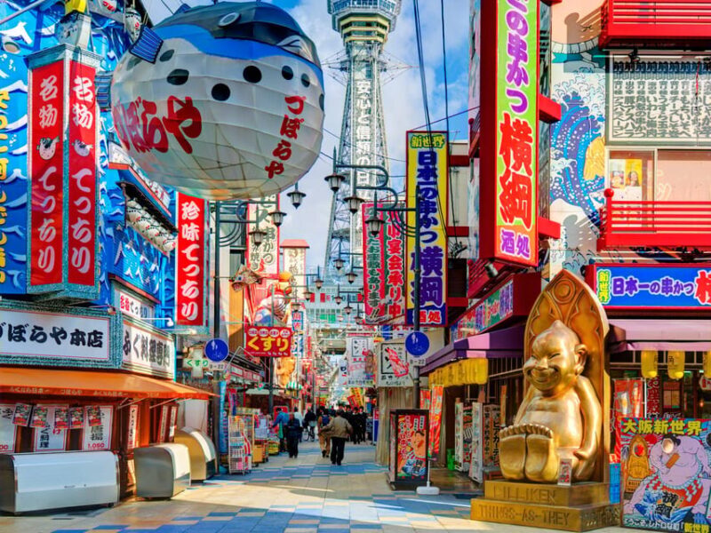 One Day Private Customized Self-Guided Tour in Osaka - Who Will Love This Tour?