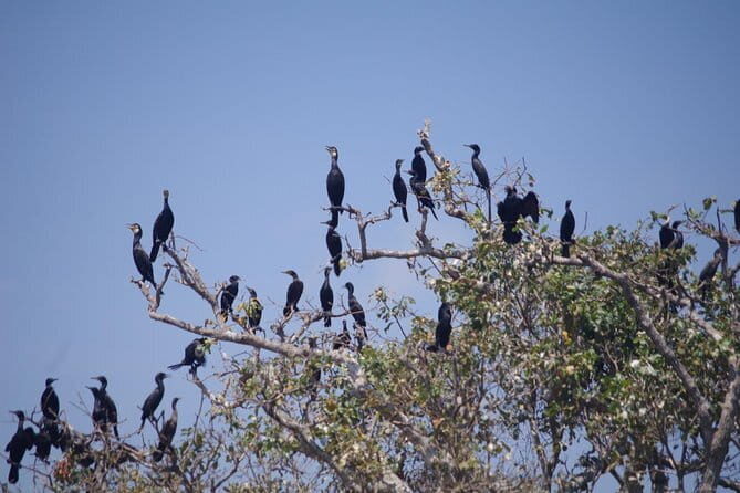One Day Private Guide Tour to Prek Toal Biosphere - All Inclusive - FAQ
