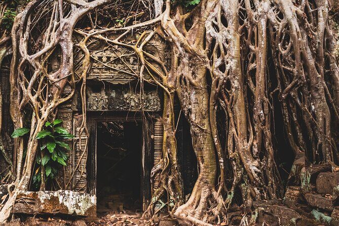 One-Day Private Guided Backroads Cycling Tour of Angkor Temples - Final Thoughts