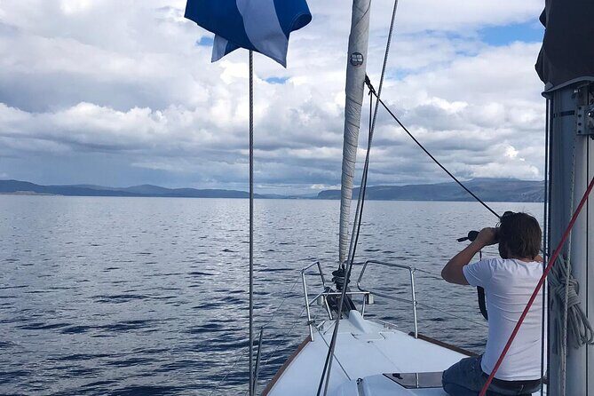 One Day Private Sailing from Oban Marina with Lunch - Why Is This Tour Worth It?