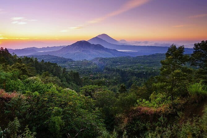 One Day Private Tour From Benoa Port Bali - Why This Tour Stands Out