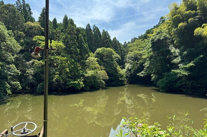 One Day Private Tour in Kyoto and Nara From Osaka - An In-Depth Look at the Experience