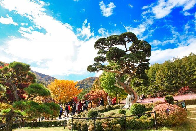 One Day Private Tour-Nami, Petite and Garden of Morning Calm - The Itinerary in Detail