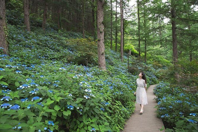 One Day Private Tour-Nami, Petite and Garden of Morning Calm - How Does the Price Stack Up?