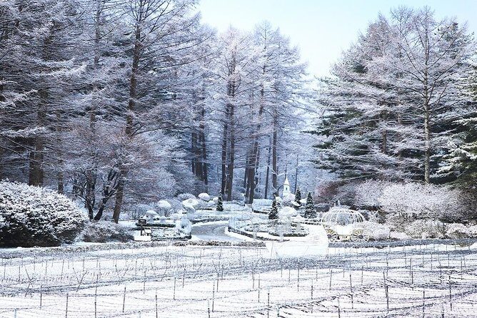 One Day Private Tour-Nami, Petite and Garden of Morning Calm - What the Reviews Say