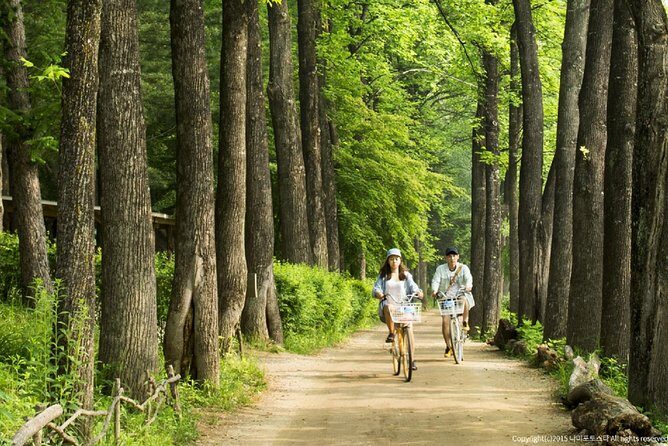 One Day Private Tour-Nami, Petite and Garden of Morning Calm - Who Is This Tour Best For?