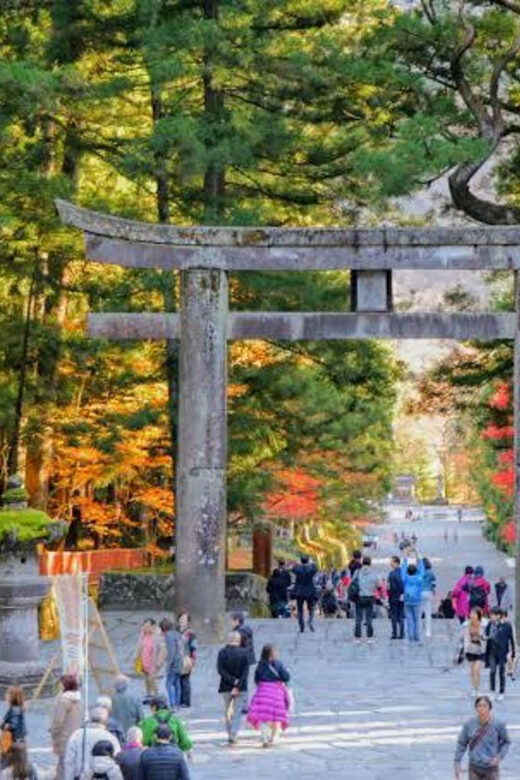 One Day Private Tour Nikko Tour by Car English driver - The Sum Up: Why This Tour Stands Out