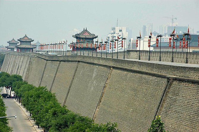 One-Day Private Tour of Xi'an Terra-Cotta Warriors and City Wall - Why This Tour Is Perfect for You