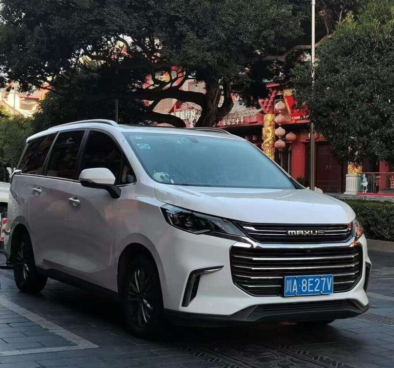 One-day private transfer service to Leshan from Chengdu - Introduction: Why Consider a Private Transfer to Leshan?