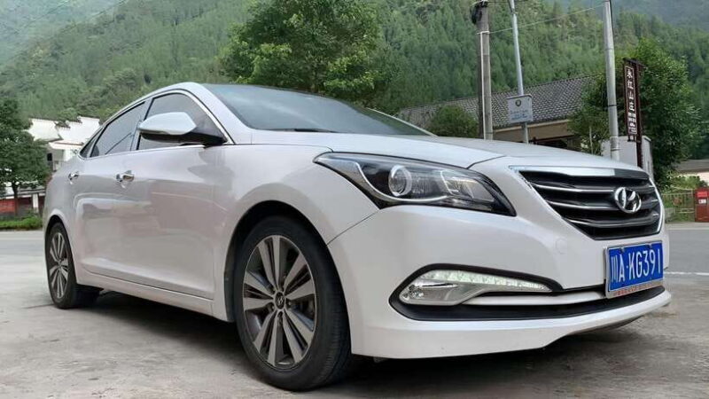 One-day private transfer service to Leshan from Chengdu - The Itinerary: What to Expect