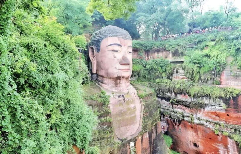 One-day private transfer service to Leshan from Chengdu - The Experience: Comfort, Convenience, and Authenticity