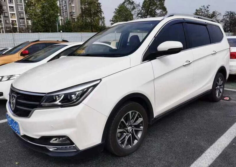 One-day private transfer service to Leshan from Chengdu - Analyzing the Value