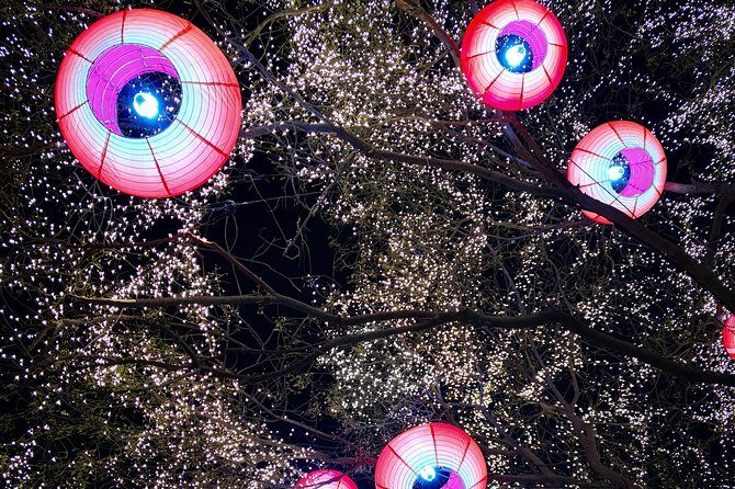 One Day Private Xian Tour to Terracotta Warriors with Airport Transfers - Key Points