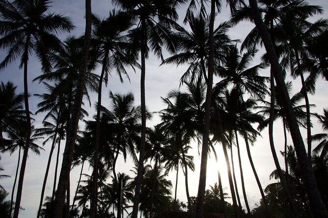 One Day Shore Excursion to Down south Sri Lanka - Final Words