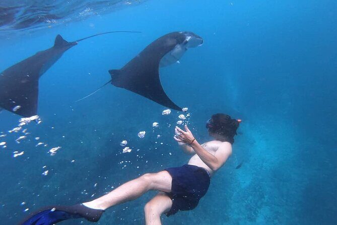 One Day Snorkeling Trip & West Tour Nusa Penida by Penidago - The Sum Up