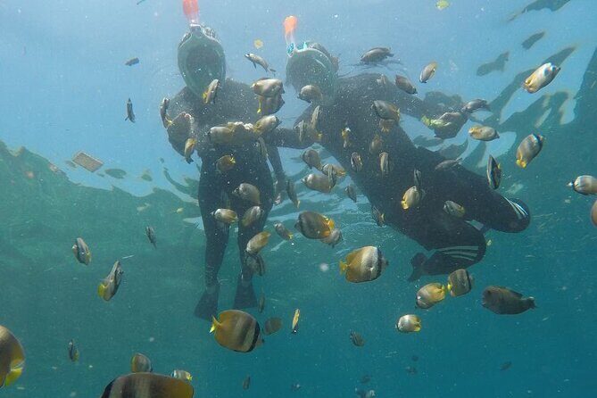 One Day Snorkeling Trip & West Tour Nusa Penida by Penidago - FAQ