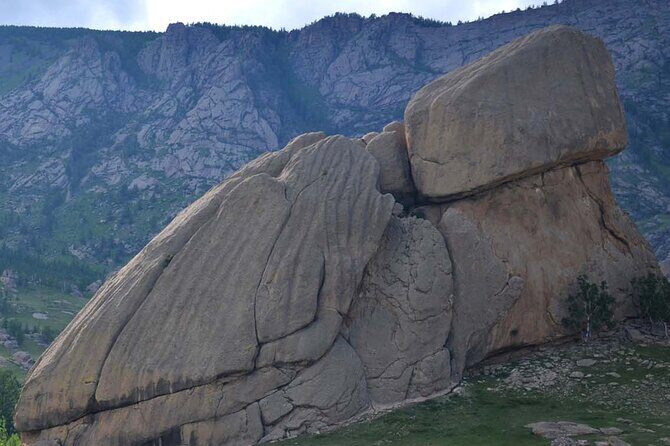 One-Day Terelj park Tour: Culture, Nature, and Local Experiences - Practical Details: What the Tour Means for You