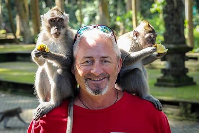 One Day Tour Bali - Sangeh (Monkey Forest) Bedugul Sunset at Tanah Lot - Who Would Love This Tour?