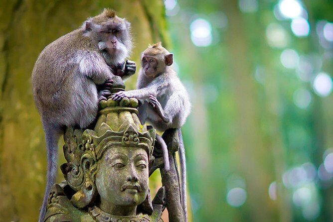One Day Tour Bali - Sangeh (Monkey Forest) Bedugul Sunset at Tanah Lot - Frequently Asked Questions