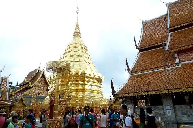 One Day Tour Doi Suthep Temple, Palad Temple, Orchid Farm, Longneck hill tribe village (Private tour) - Why This Tour Works for You