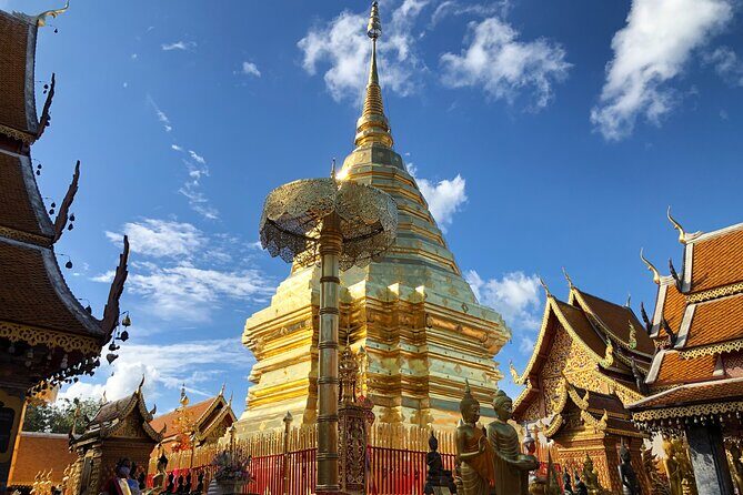 One Day Tour Doi Suthep Temple, Palad Temple, Orchid Farm, Longneck hill tribe village (Private tour) - What You’ll Experience