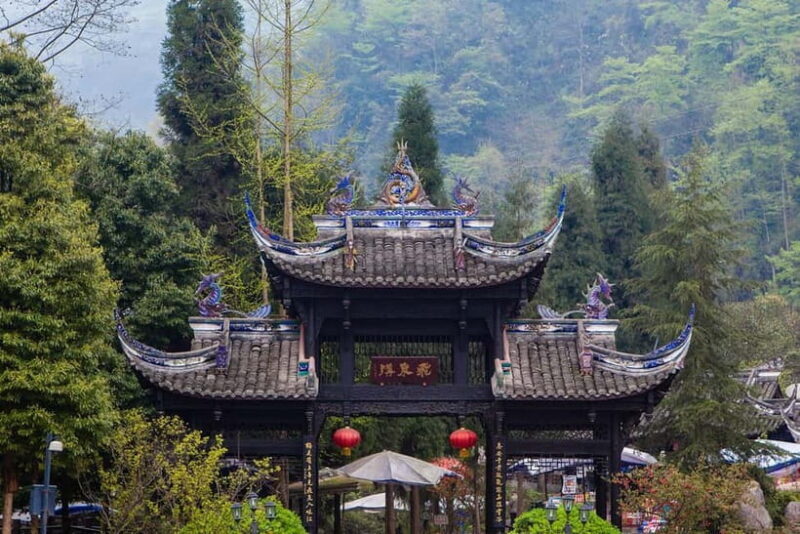 One-Day Tour: Dujiangyan, Mount Qingcheng, Panda Valley - An In-Depth Look at the Tour Experience