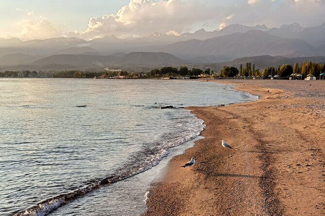 One-day tour from Bishkek to Issyk-Kul Lake - Analyzing the Value: Is It Worth It?
