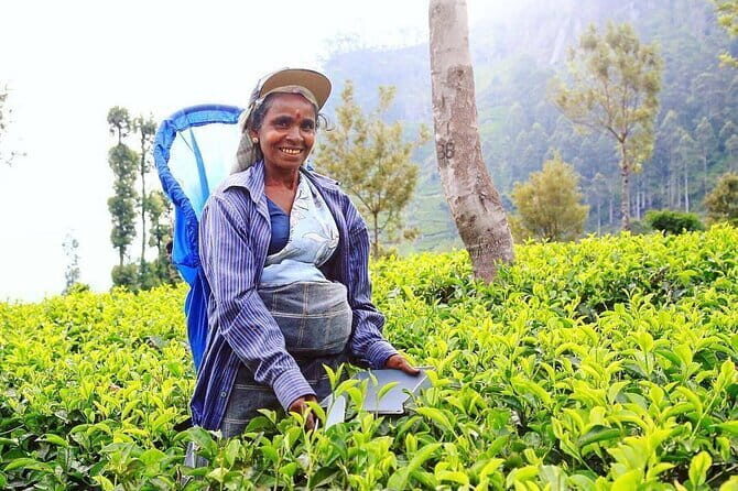 One Day Tour from Galle/ Unawatuna/ Ahangama to Ella + Udawalawa - An Honest Look at the Day