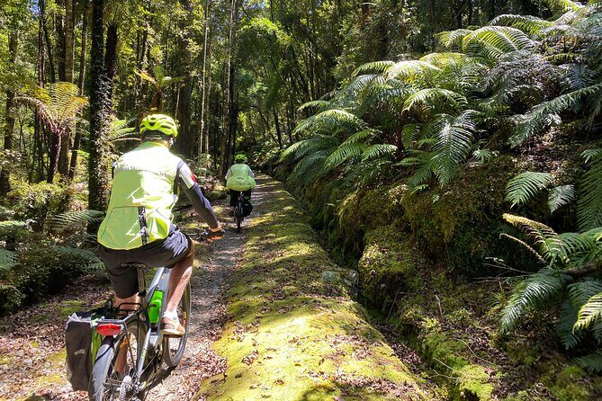 One Day Tour from Hokitika on Wilderness Trail by eBike - Exploring the Wilderness Trail by eBike: A Balanced Look at a Scenic West Coast Adventure