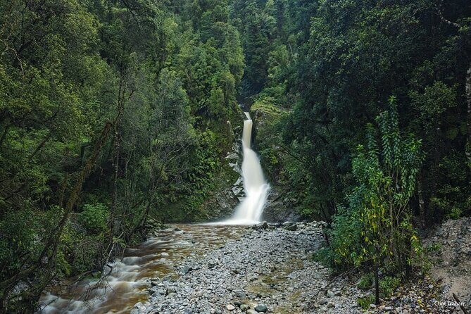 One Day Tour from Hokitika on Wilderness Trail by eBike - Key Points