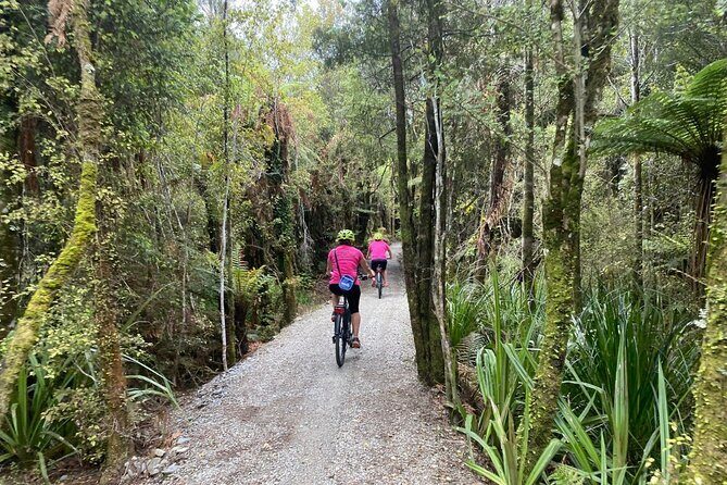 One Day Tour from Hokitika on Wilderness Trail by eBike - The Sum Up: Who Its Best For