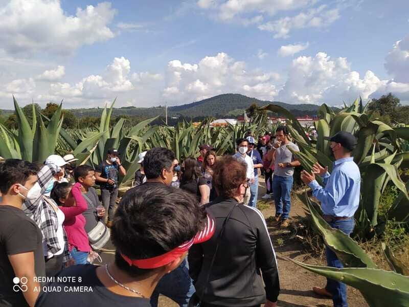 One day tour from Mexico City to Firefly Sanctuary - Is This Tour Right for You?