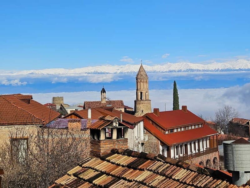 One-day tour in Kakheti with a guide and free wine tasting - The Tour Experience: What You Can Expect